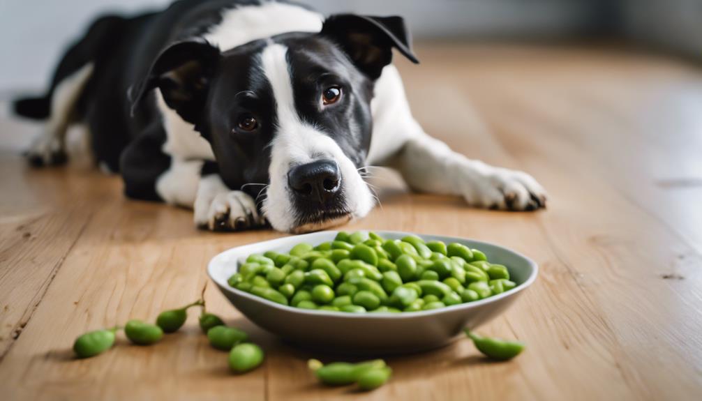 My Dog Ate Edamame Shells