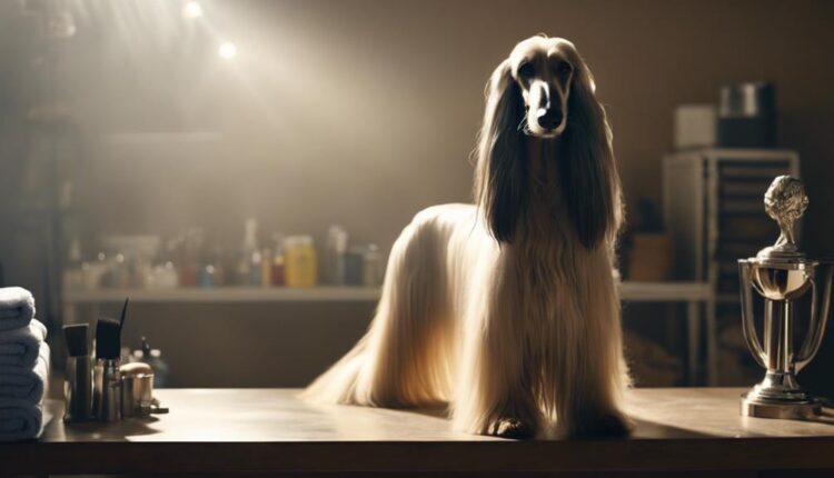 Perfect Dog Grooming For Show Dogs: A Quick Guide | Curious Dogs